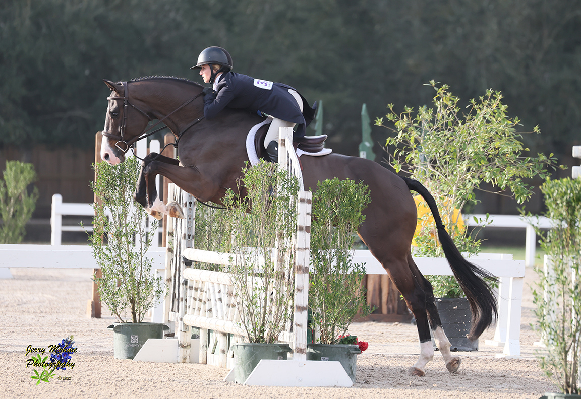 Suit and Tie - October Hill Farm